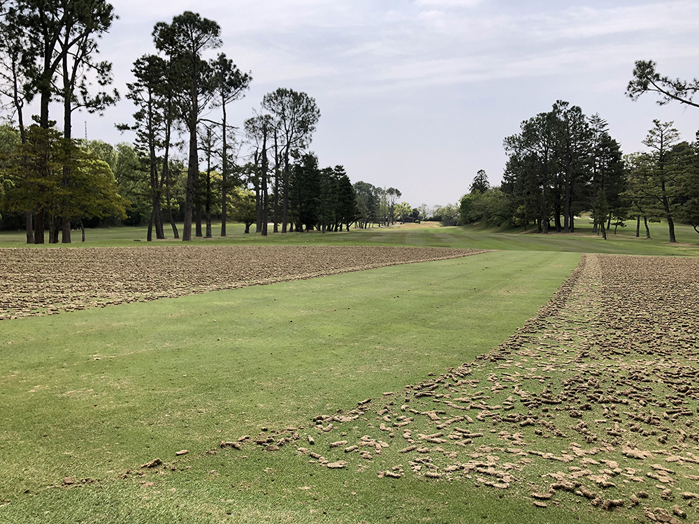 HS806 | Hatsuta Kakusanki Co., Ltd.