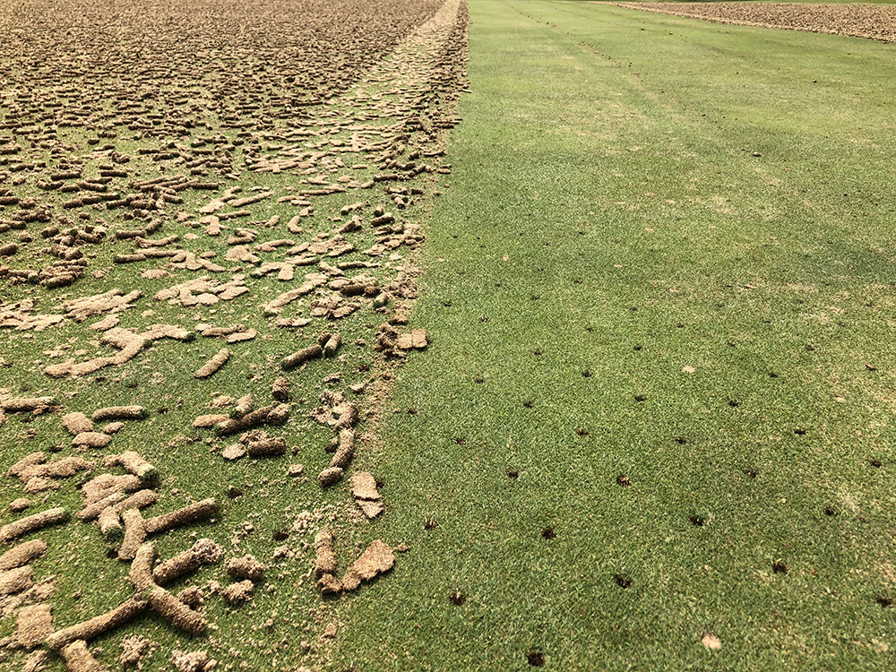 HS806 | Hatsuta Kakusanki Co., Ltd.